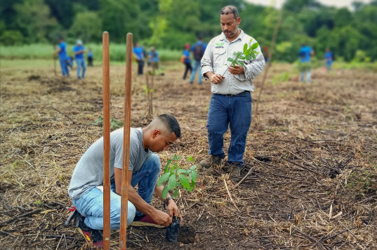 Rooted in Tradition, Driven by Science: Panama’s Indigenous ...